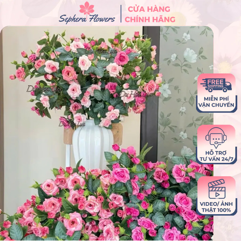 Cành Hồng Ngoại Rose Sephera Flower, Hoa Hồng Rose cao cấp cao 70cm, 6 ...