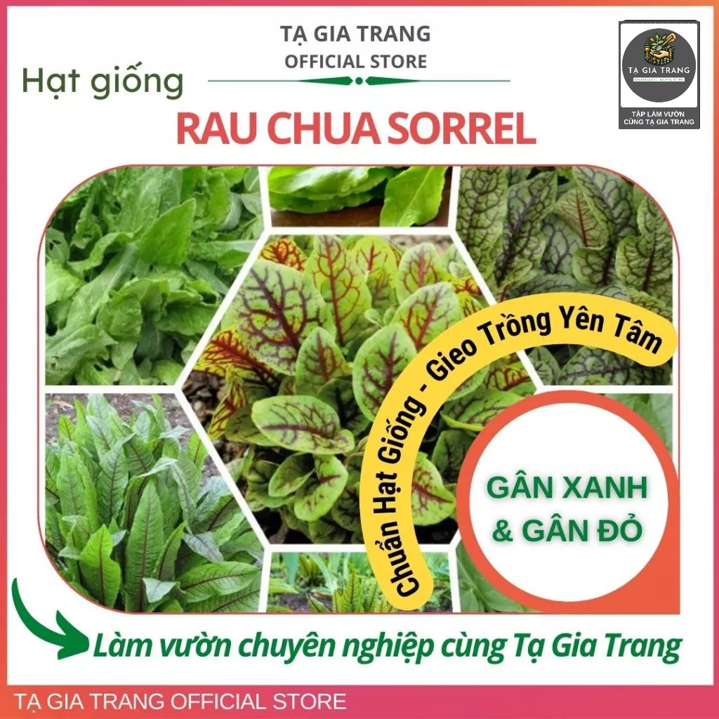 Hạt giống Rau chua Sorrel | Shopee Việt Nam