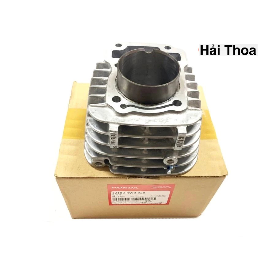 Xy Lanh ( Hơi ) Ws 110, Rsx 110 Honda ( 12100KWB920 ) ( Ko Quả Xét ...