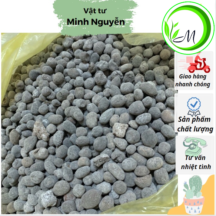 1kg phân dê đã qua xử lý vôi, phân dê cho phong lan, phân hữu cơ cho ...