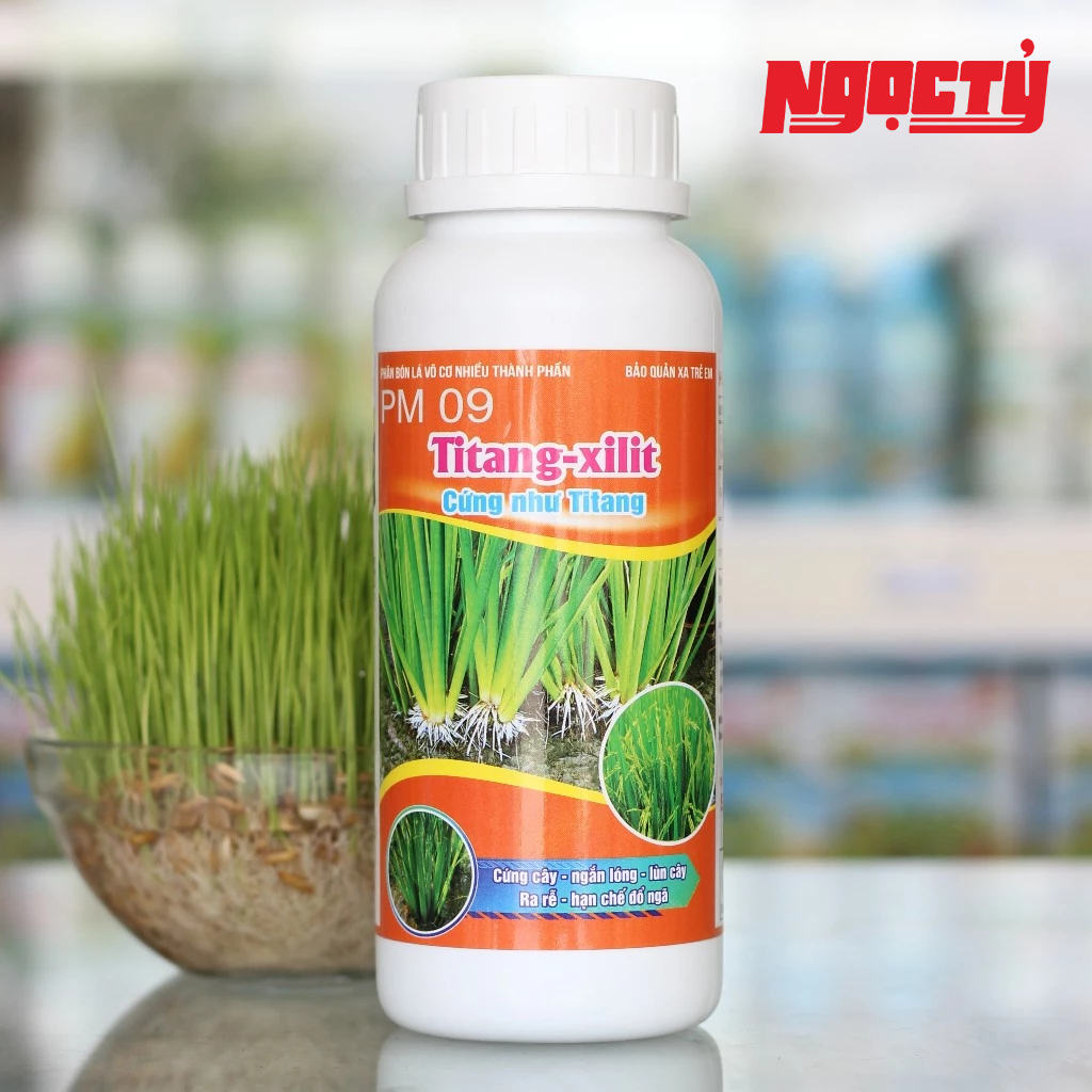 Titang xilit - Cứng như Titang của GLOBAL FARM giúp thân lúa cứng chắc ...