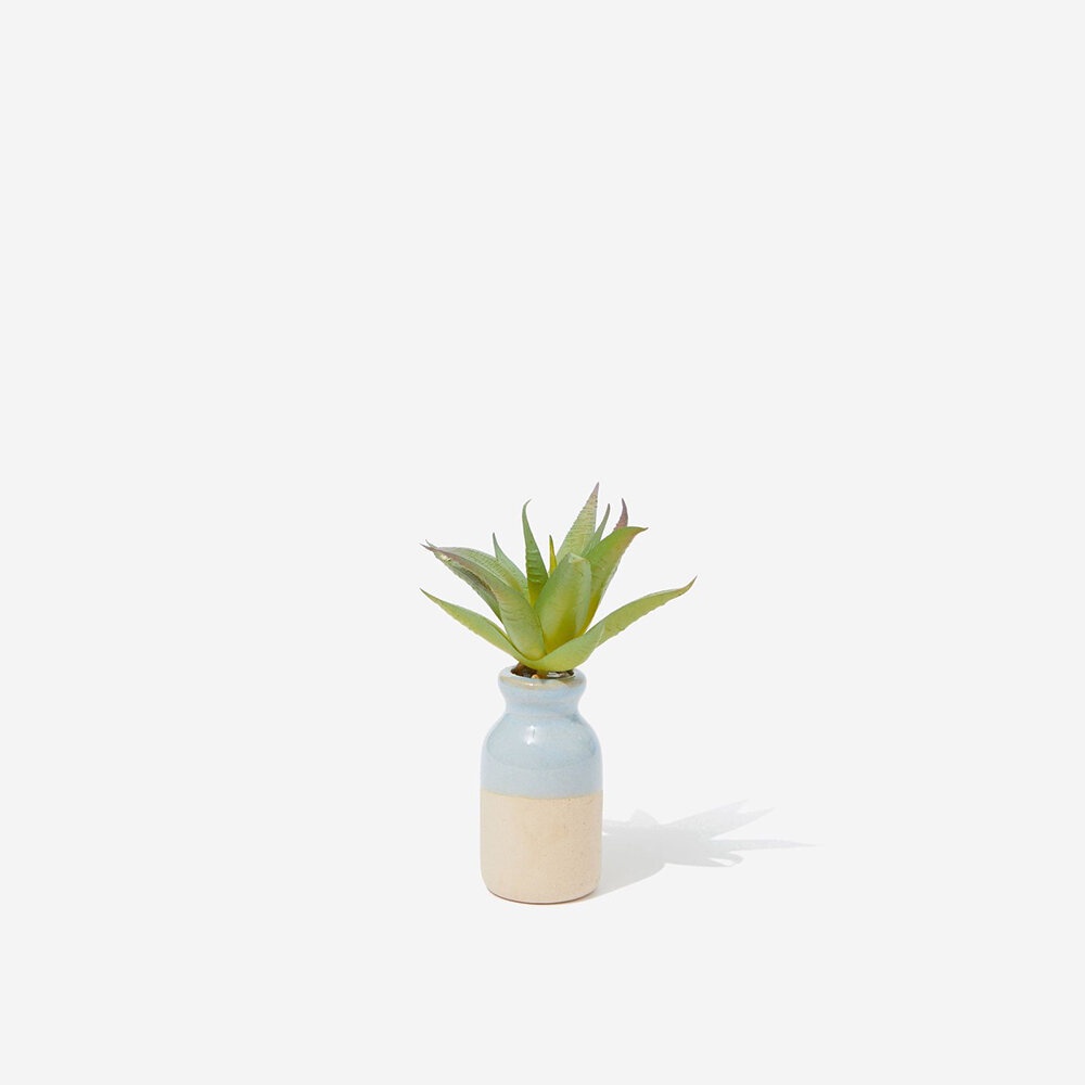 TYPO - Chậu Trồng Cây Mini Mini Shaped Planter - 1686153-04 | Shopee ...