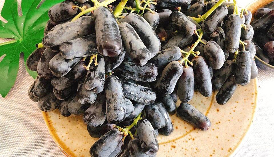 An Miên Farm - Trái Cây & Thực Phẩm Nhập Khẩu ở Quận 1, TP. HCM | Foody.vn