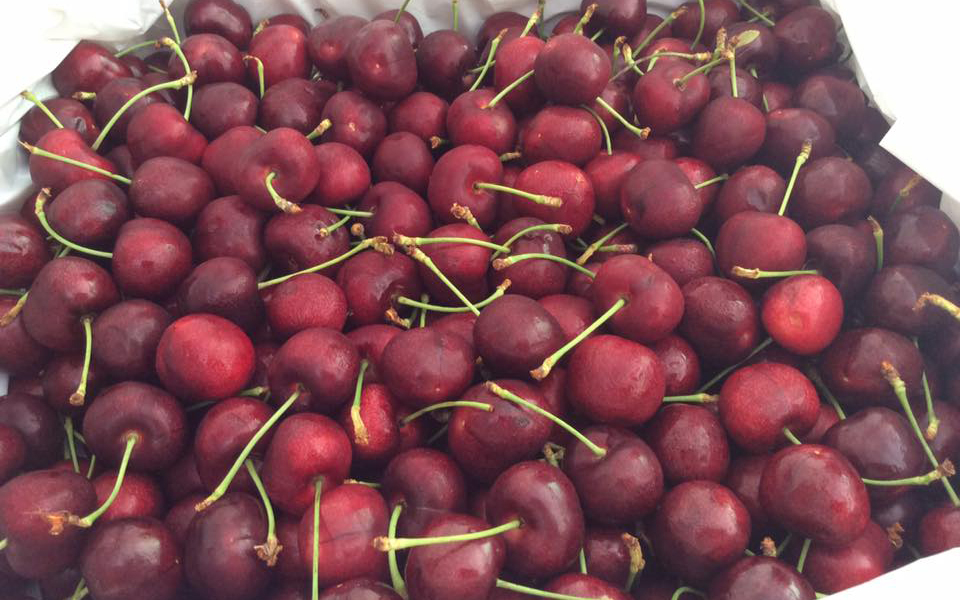 Dana Fruit - Trái Cây & Thực Phẩm Nhập Khẩu - Lê Thanh Nghị ở Quận Hải ...
