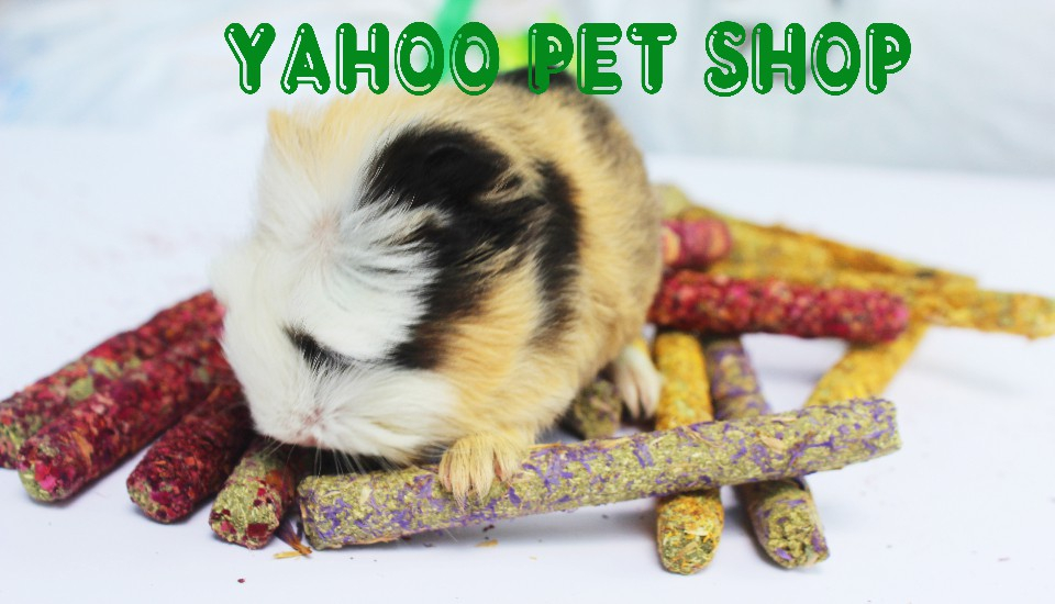 Yahoo Pet Shop - Thú Cưng - Lạc Long Quân ở Quận 11, TP. HCM | Menu Thực đơn & Giá cả | Yahoo ...
