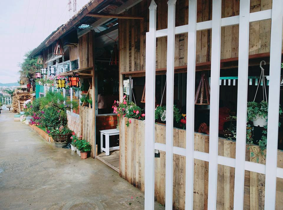 Phát hiện "Homestay Coffee" theo phong cách mới lạ ở Đà Lạt | Bài viết ...