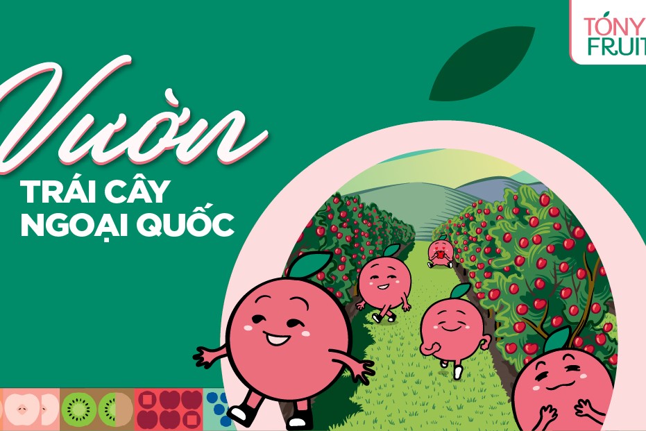 Tony Fruit - Fruits & Juice Artemis Store ở Quận Thanh Xuân, Hà Nội ...