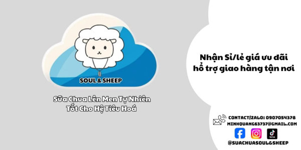 Sữa Chua Soul & Sheep - Chuyên Sữa Chua Mix Vị Lên Men Tự Nhiên Tốt Cho Sức Khoẻ - Bình Tân ở ...